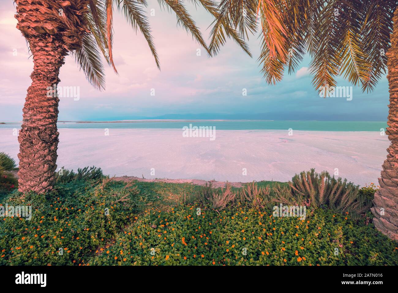 Tropical landscape with dramatic sky. Dead sea shore. Palm trees on the beach. Ein Bokek, Israel ...