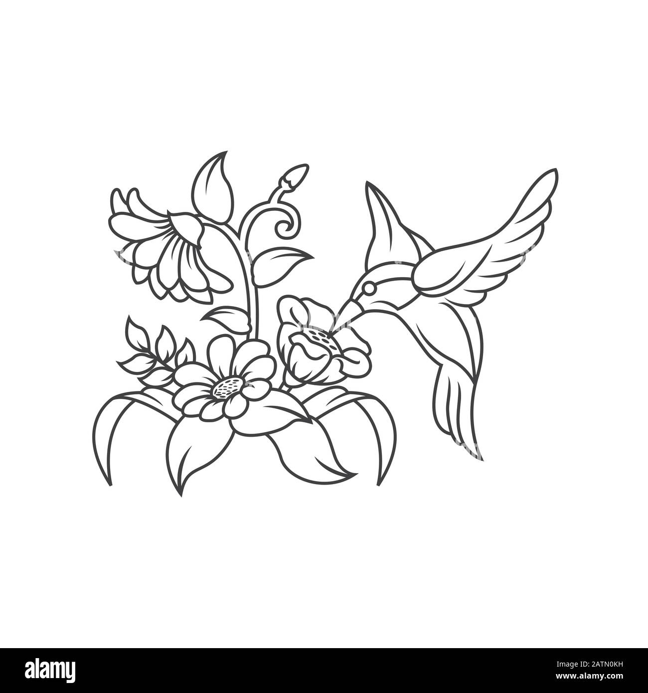 Beautiful red wild tulip Stock Vector Images - Alamy