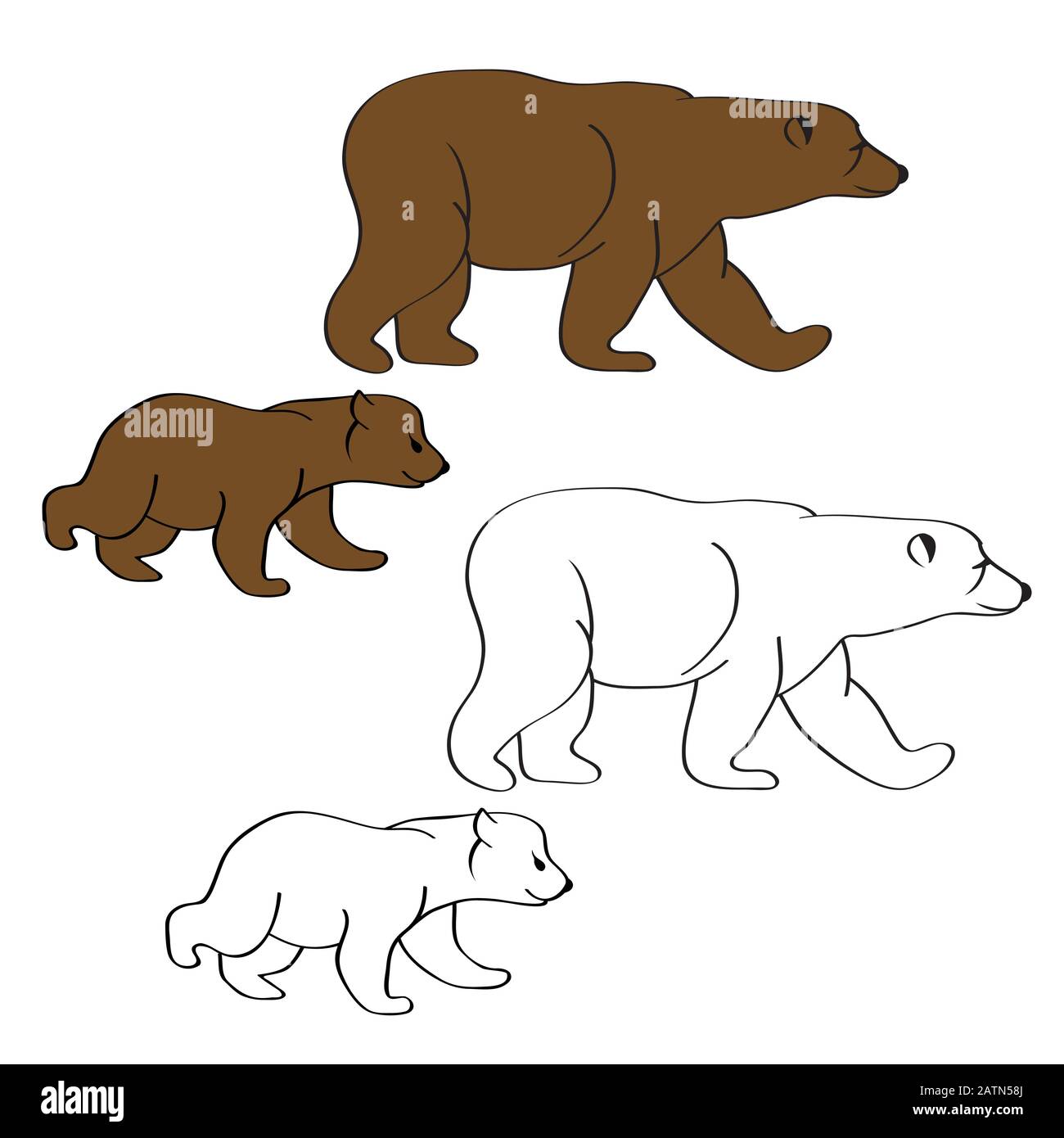 Bear icon modern symbol for graphic and web design. Bear icon simple ...