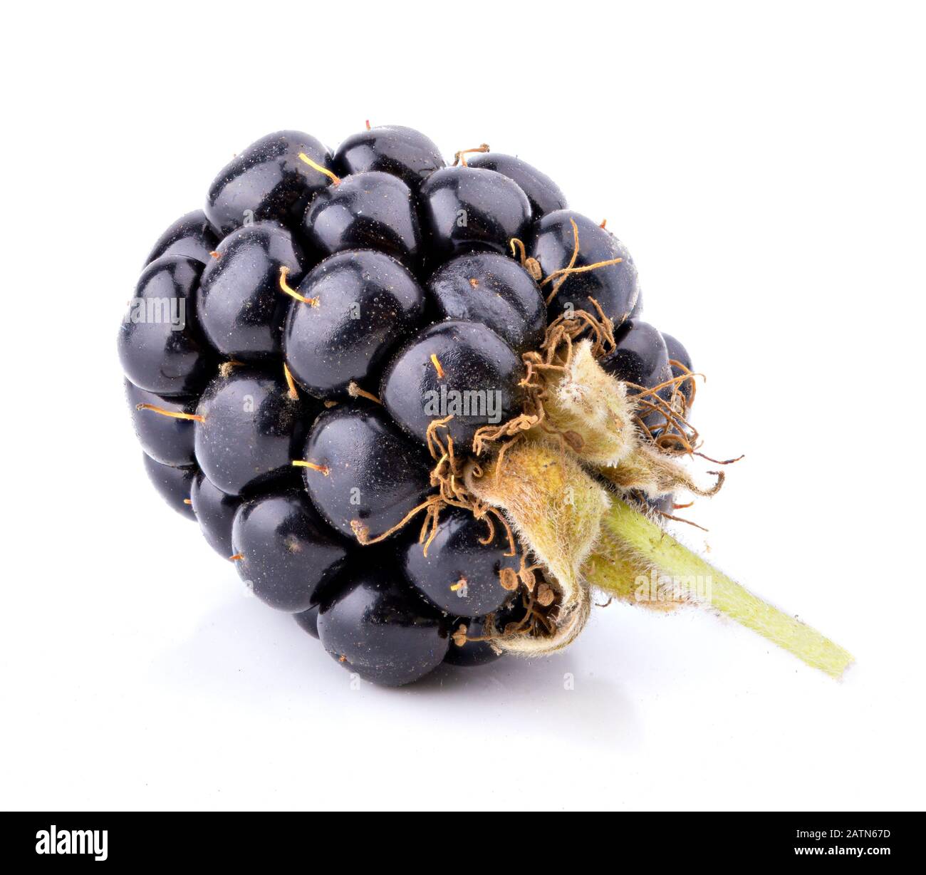 Sweet blackberry isolated on white background Stock Photo - Alamy