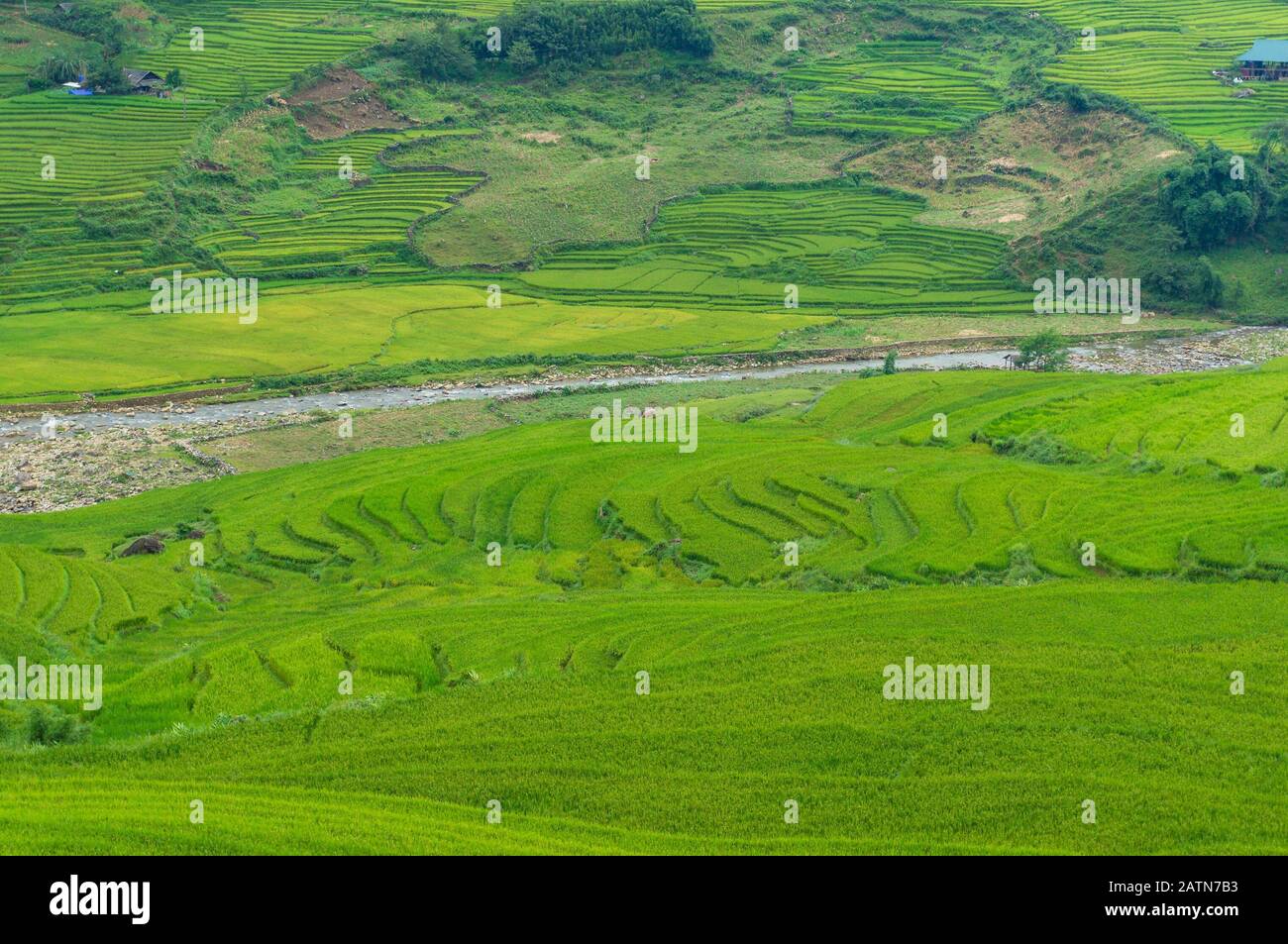 Aerial view of green rice terraces and river. Nature background Stock ...