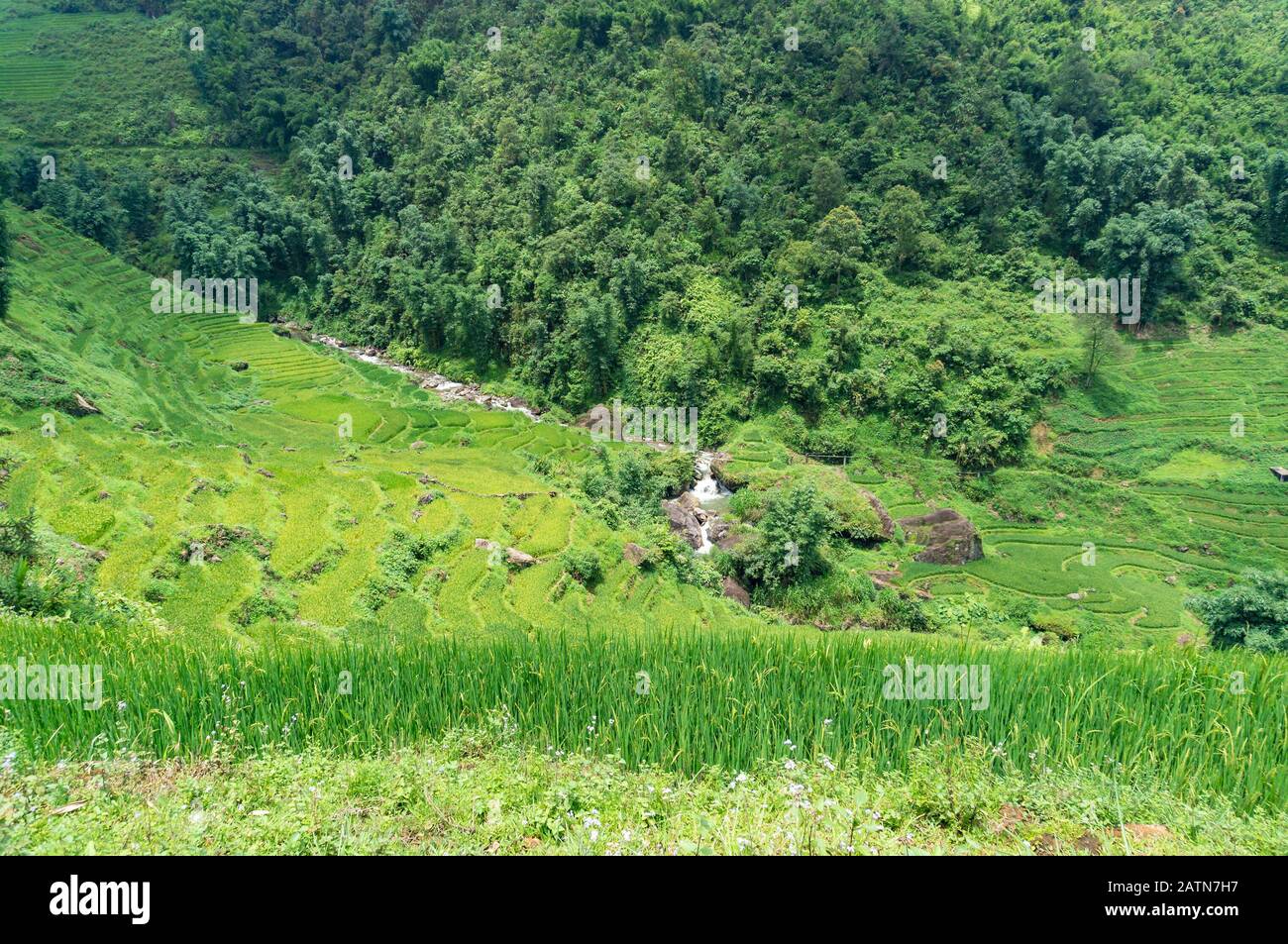 Green rice terraces and water stream nature background Stock Photo - Alamy