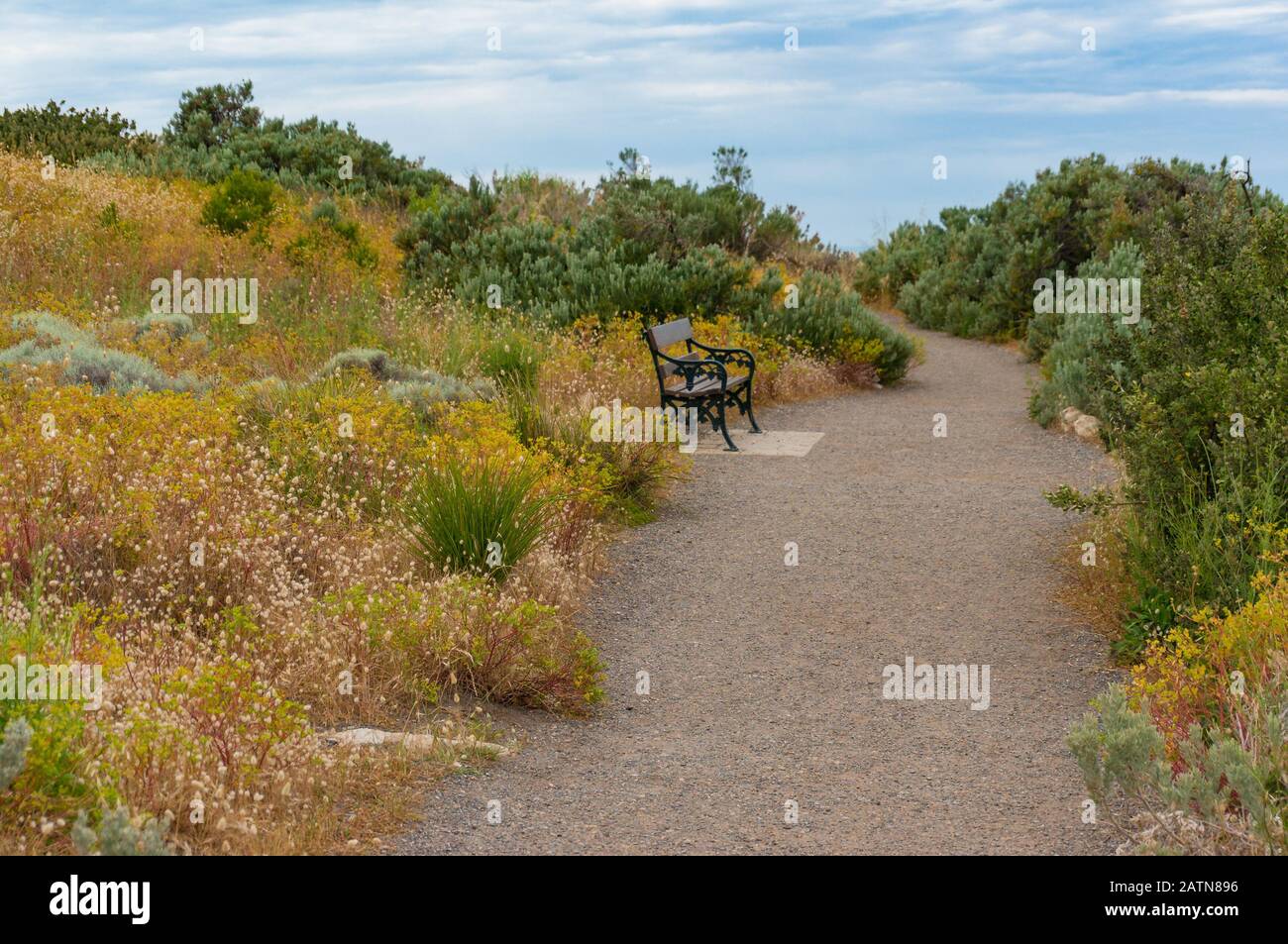 Path with bench in the park. Outdoor scene, nature background Stock ...