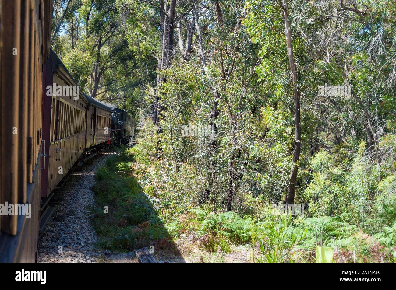 Perspective view of turning steam train running in the forest Stock ...