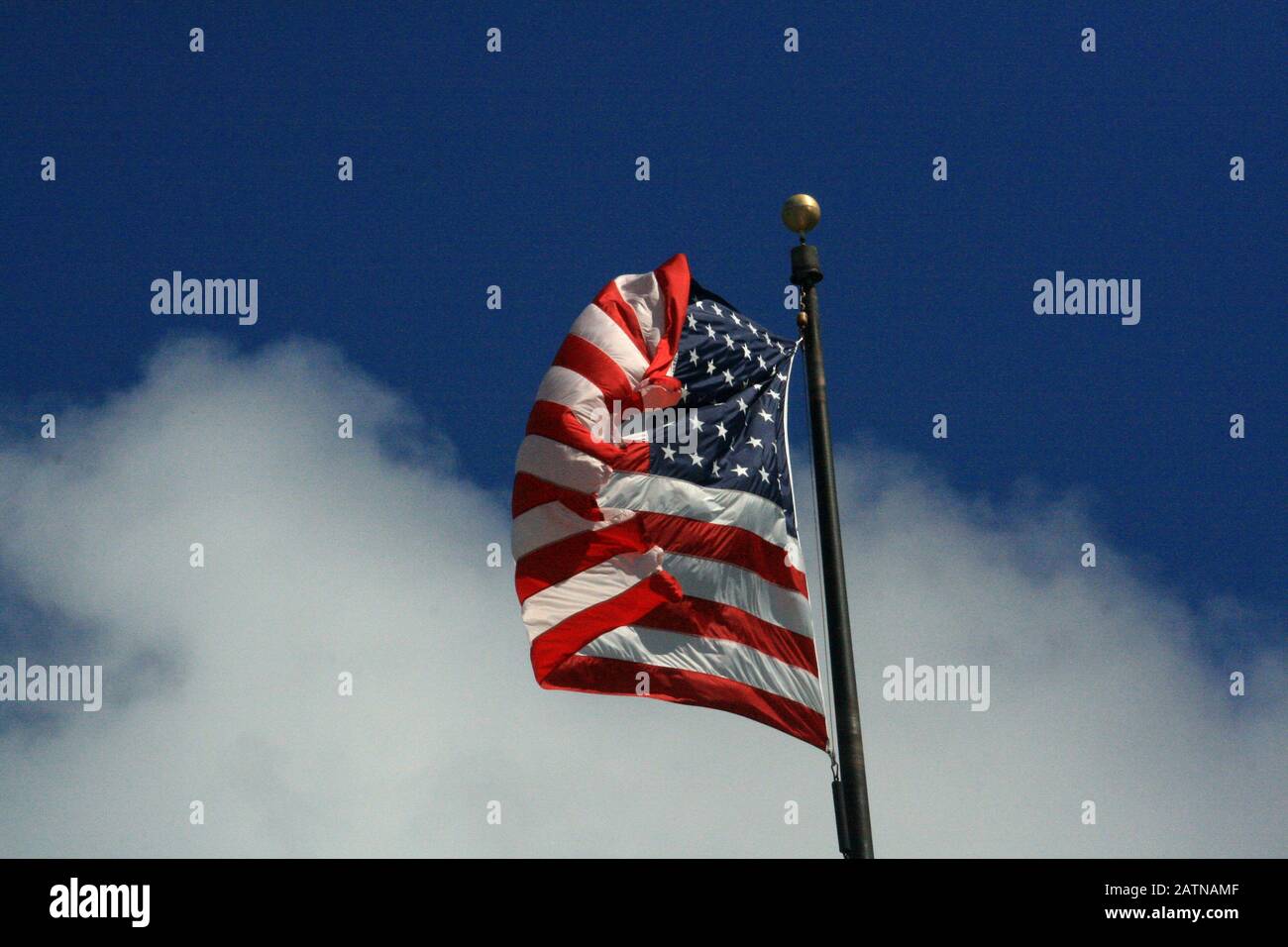 Flag of the United States of America unfurled in the wind Stock Photo ...