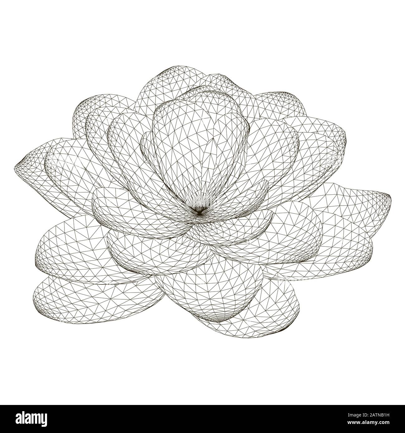 Polygonal flower wireframe Isolated on white background. View isometric ...