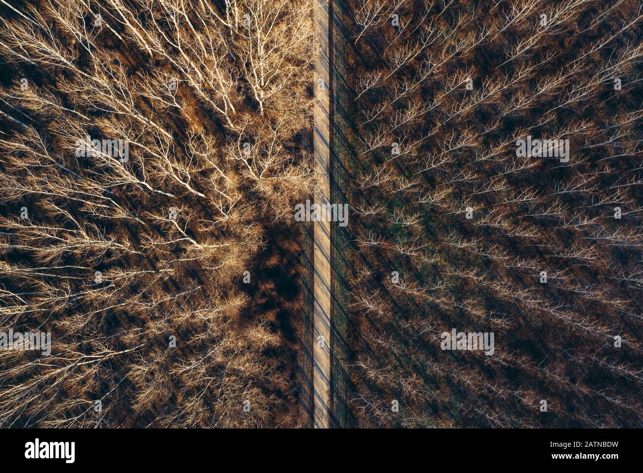 Aerial view of empty road through forest, top view drone photography ...
