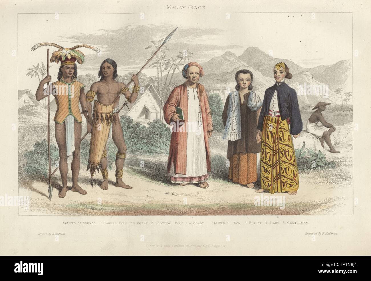 Java w hi-res stock photography and images - Alamy