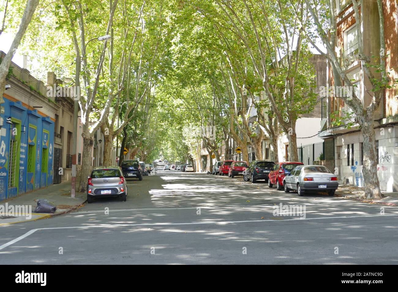 Montevideo street hi-res stock photography and images - Alamy