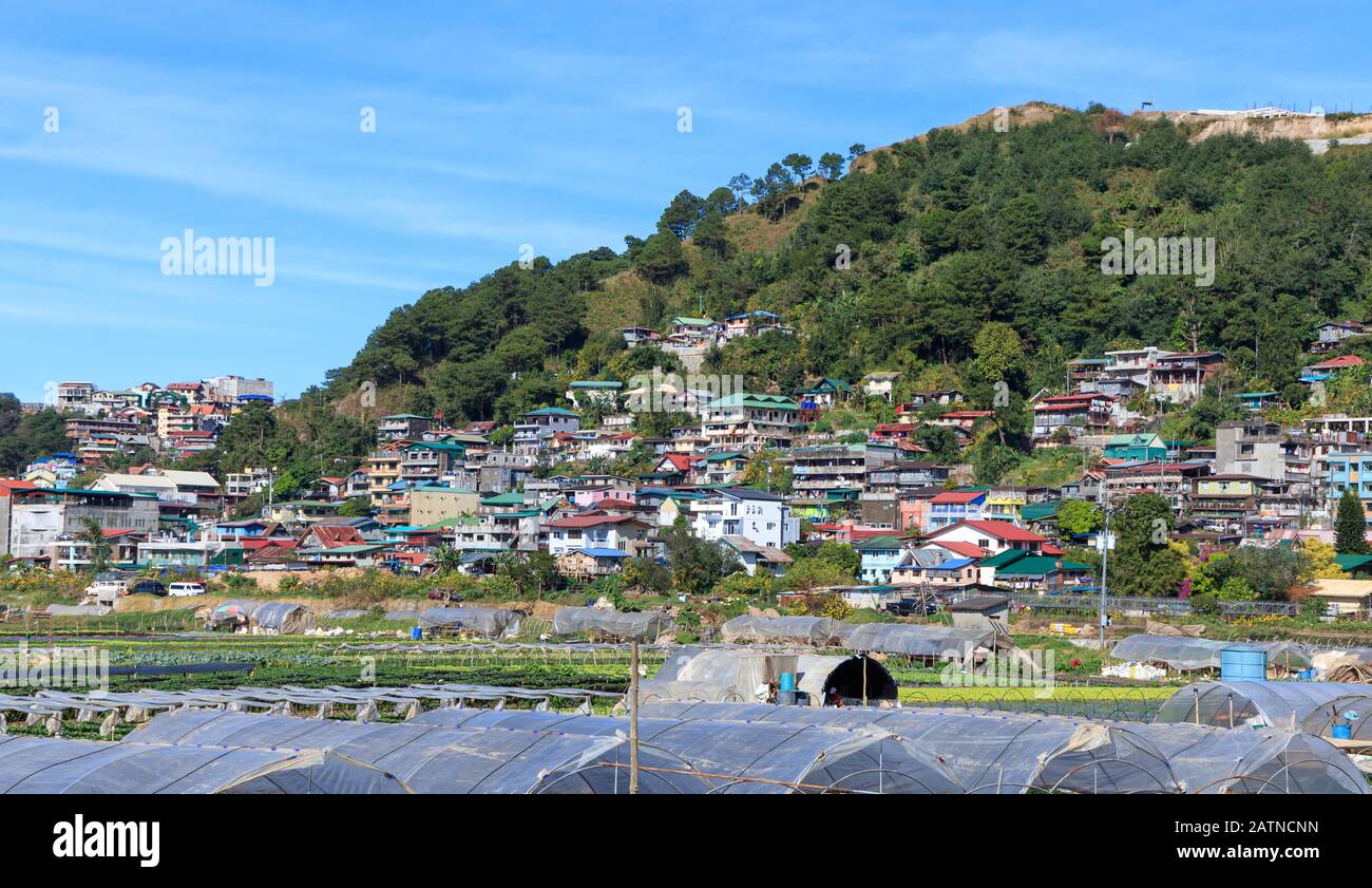 View of Strawberry Farm in La Trinidad, Benguet, Philippines Stock ...