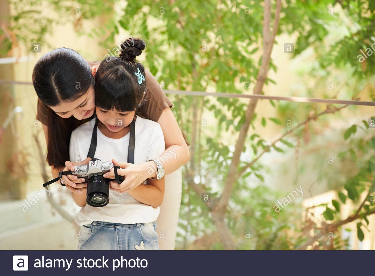 Portrait Chinese Family High Resolution Stock Photography and Images ...