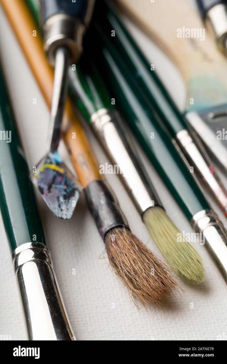 Artistic art supply utensils with paintbrushes on white canvas ...