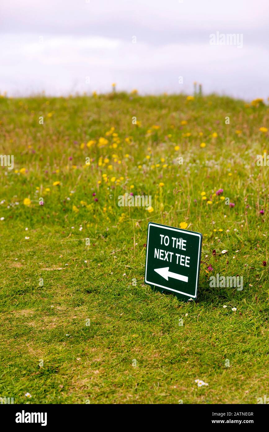 Next tee sign amongst the wild machair flowers on Askernish golf course ...
