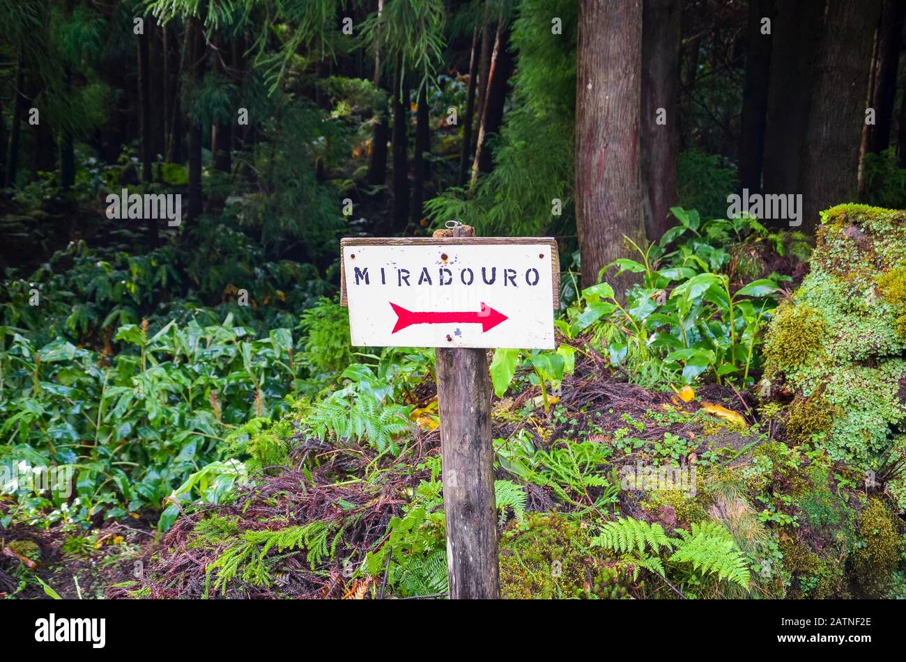 Tourist sign with a red arrow on the white field giving direction to a ...