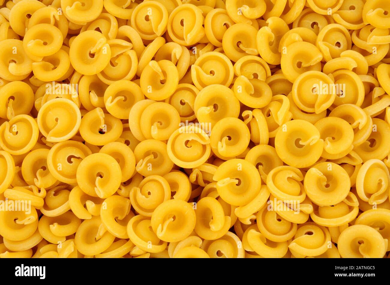 Dischi pasta shapes made from Durham wheat background Stock Photo - Alamy