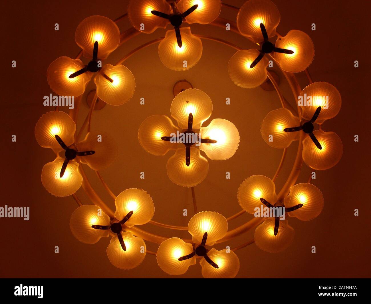 Upward shot of lighted bulbs in floral designs mounted on the ceiling ...