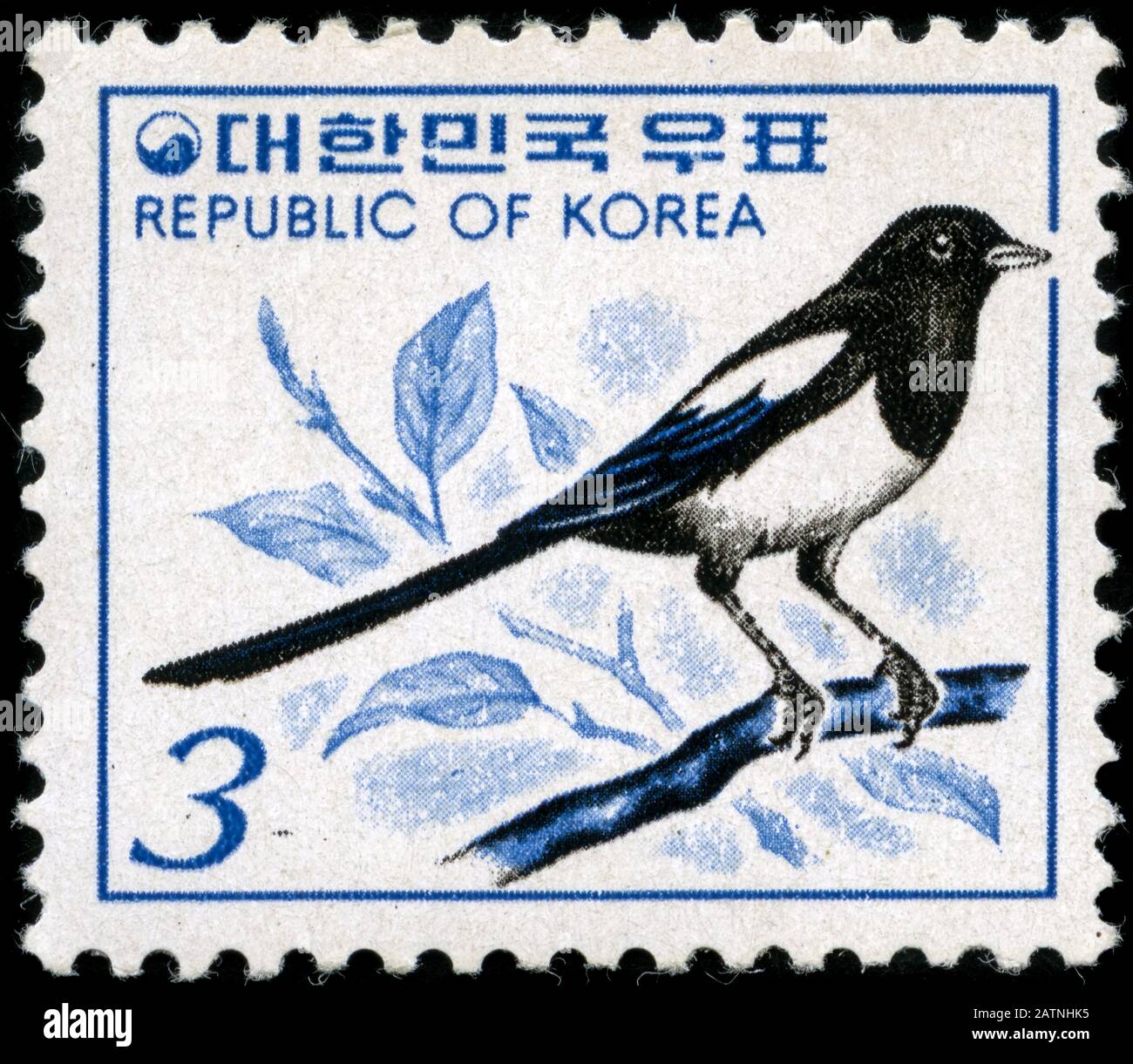 Korean National Bird