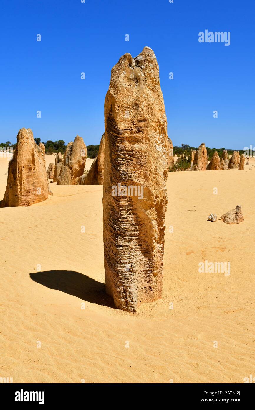 Australia, WA, The Pinnacles in Nambung National Park, preferred ...