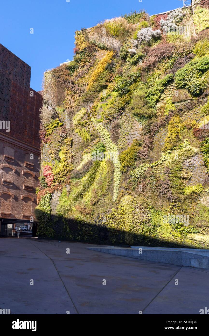 MADRID, SPAIN - JANUARY 22, 2018: Vertical garden wall and CaixaForum ...