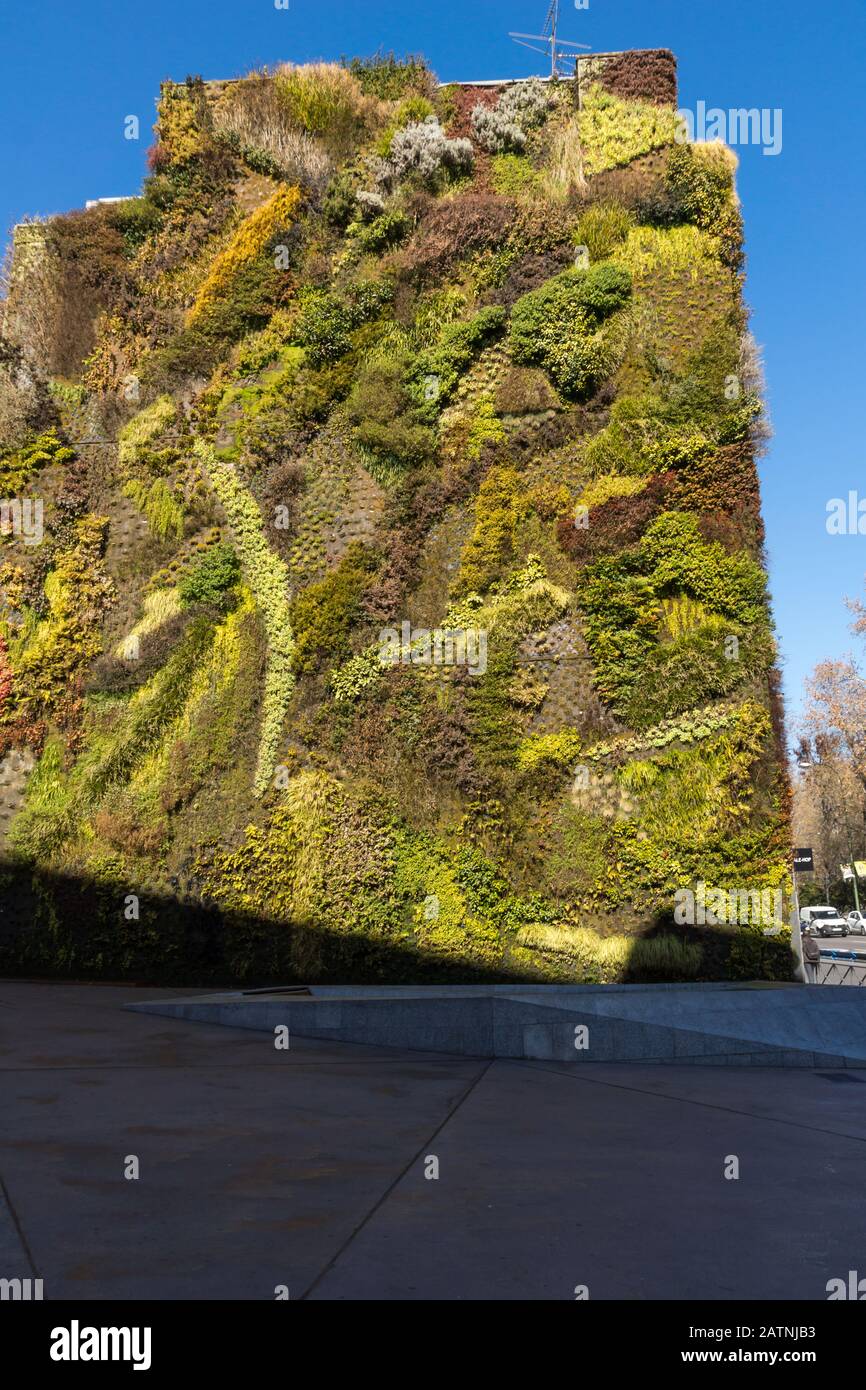 MADRID, SPAIN - JANUARY 22, 2018: Vertical garden wall and CaixaForum ...