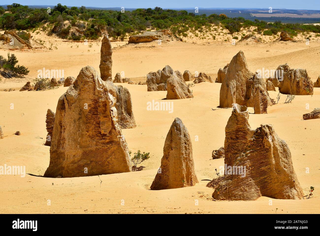 Australia, WA, The Pinnacles in Nambung National Park, preferred ...