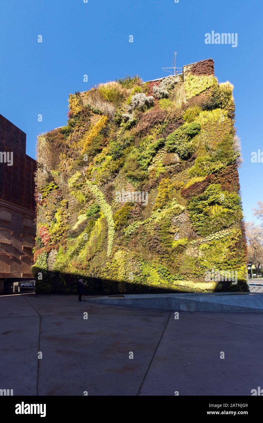 MADRID, SPAIN - JANUARY 22, 2018: Vertical garden wall and CaixaForum ...