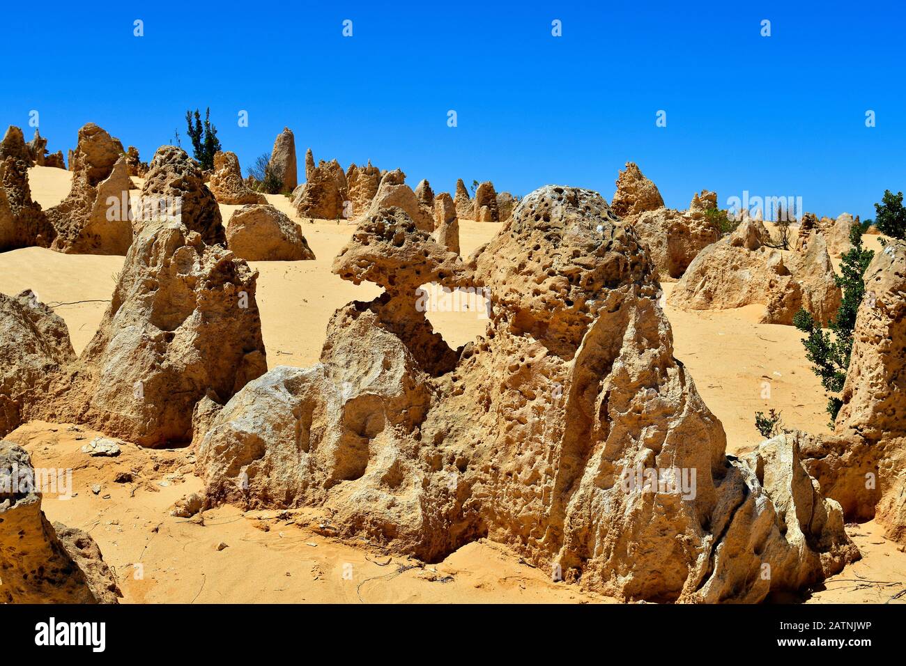 Australia, WA, The Pinnacles in Nambung National Park, preferred ...