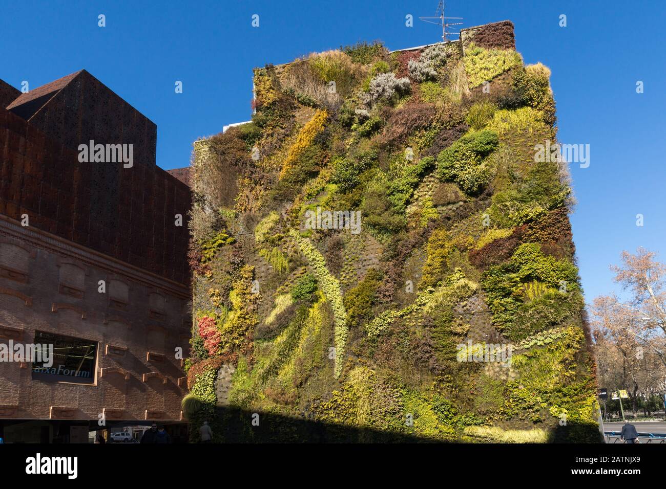 MADRID, SPAIN - JANUARY 22, 2018: Vertical garden wall and CaixaForum ...