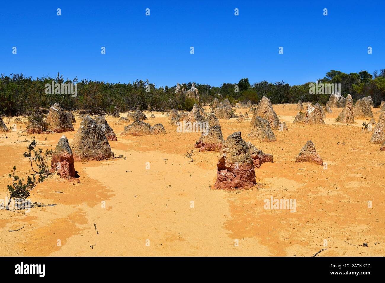 Australia, WA, The Pinnacles in Nambung National Park, preferred ...