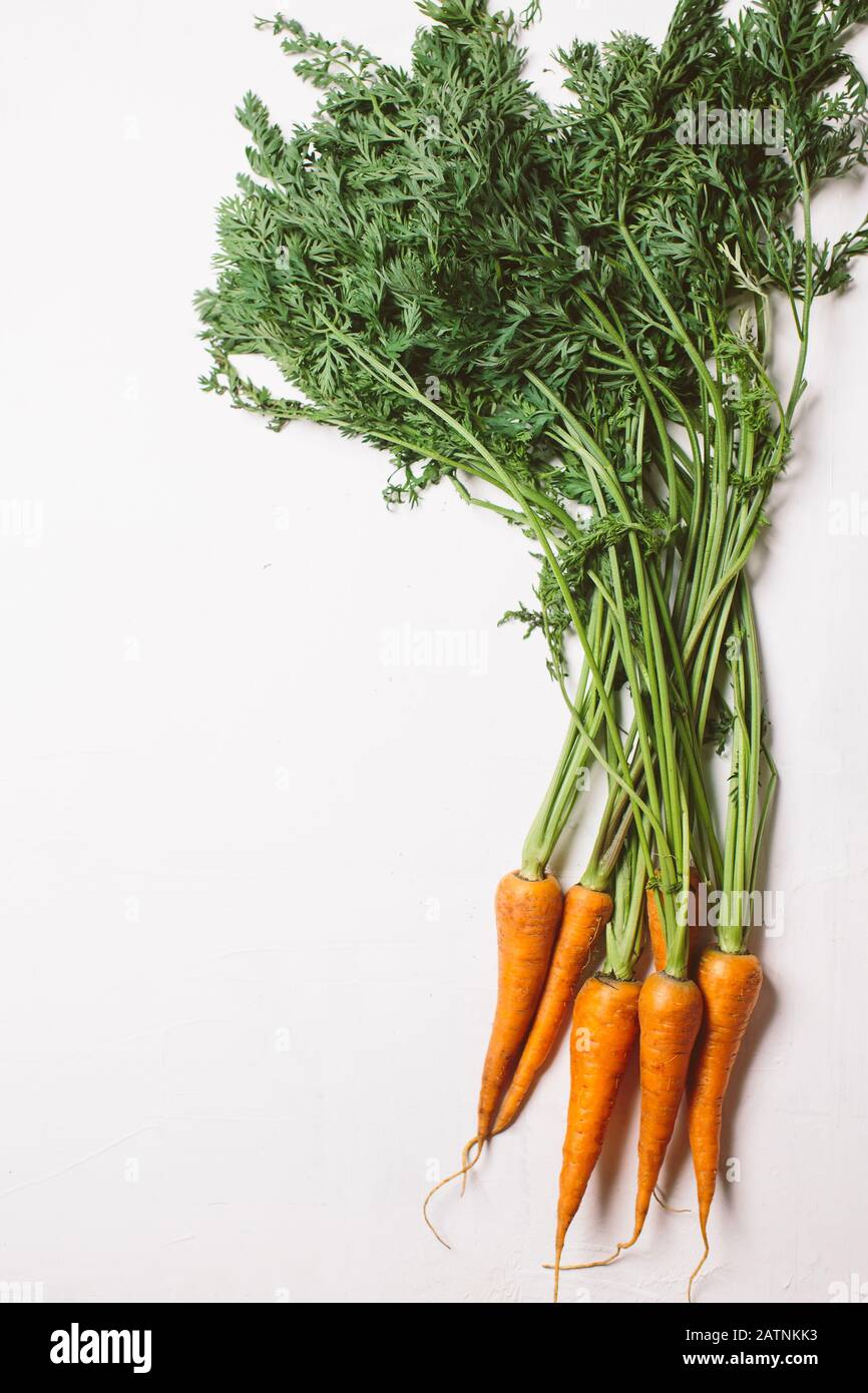 Bundle of young fresh carrots with green tops and leaves, white ...