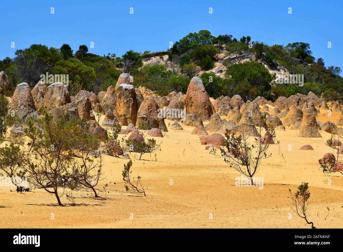 Australia, WA, The Pinnacles in Nambung National Park, preferred ...