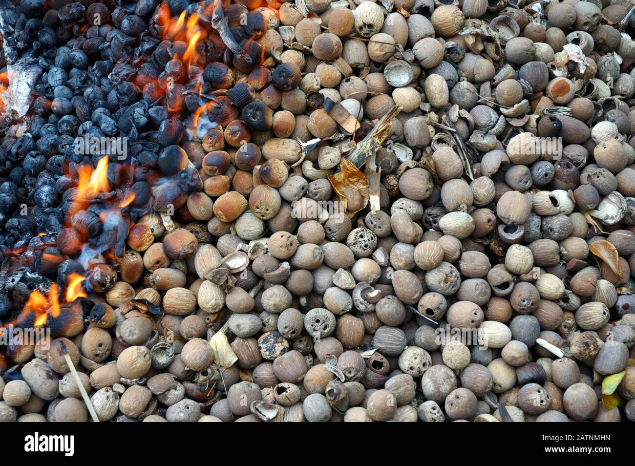 Nuts dried shells burning on the beach Stock Photo - Alamy