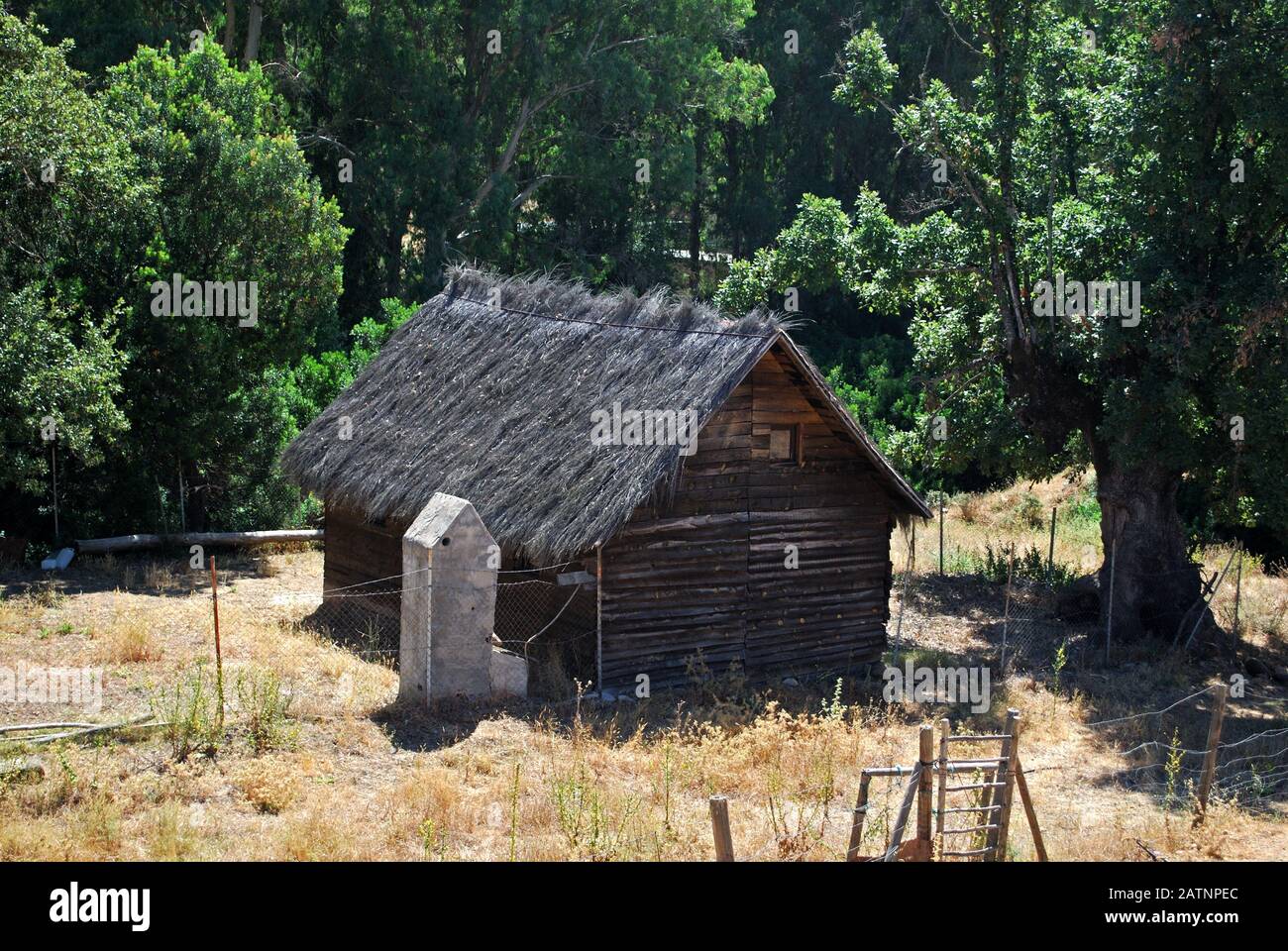Thatched barn in the forest, Sierra de los Alcornocales, Andalucia ...