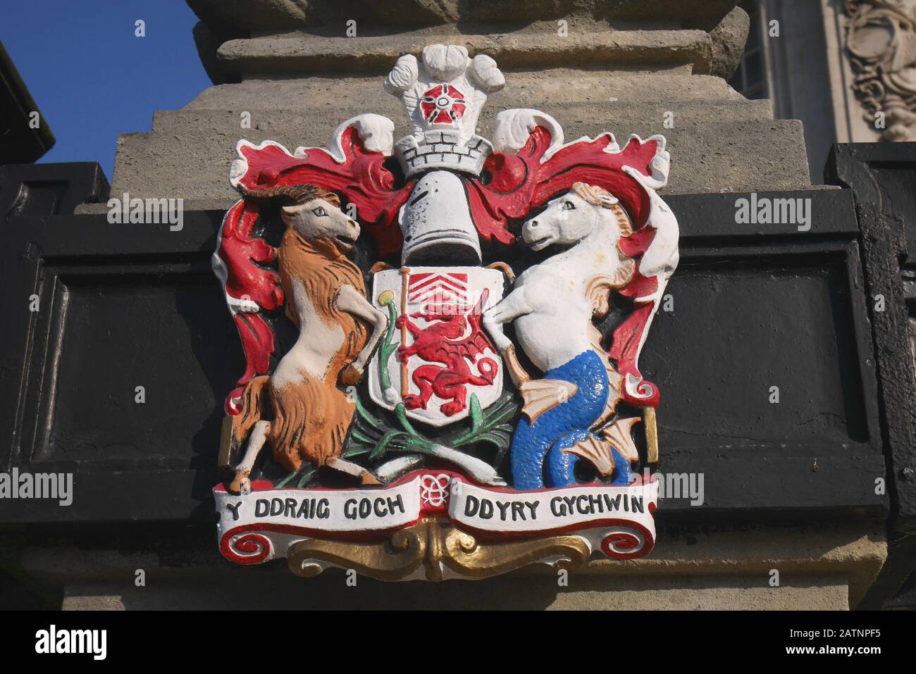 Cardiff arms park hi-res stock photography and images - Alamy