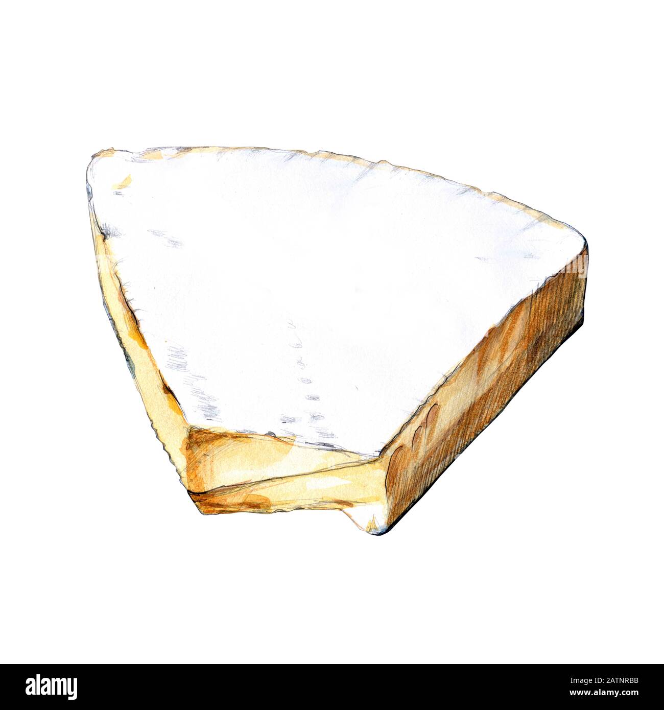 Brie watercolor illustration on white background Stock Photo - Alamy