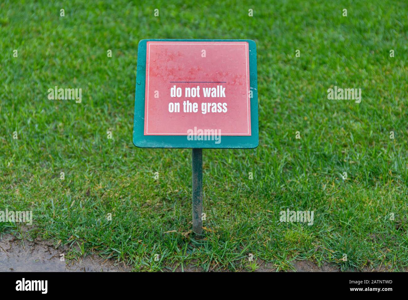 Do Not Walk On the Grass Warning Sign Stock Photo - Alamy