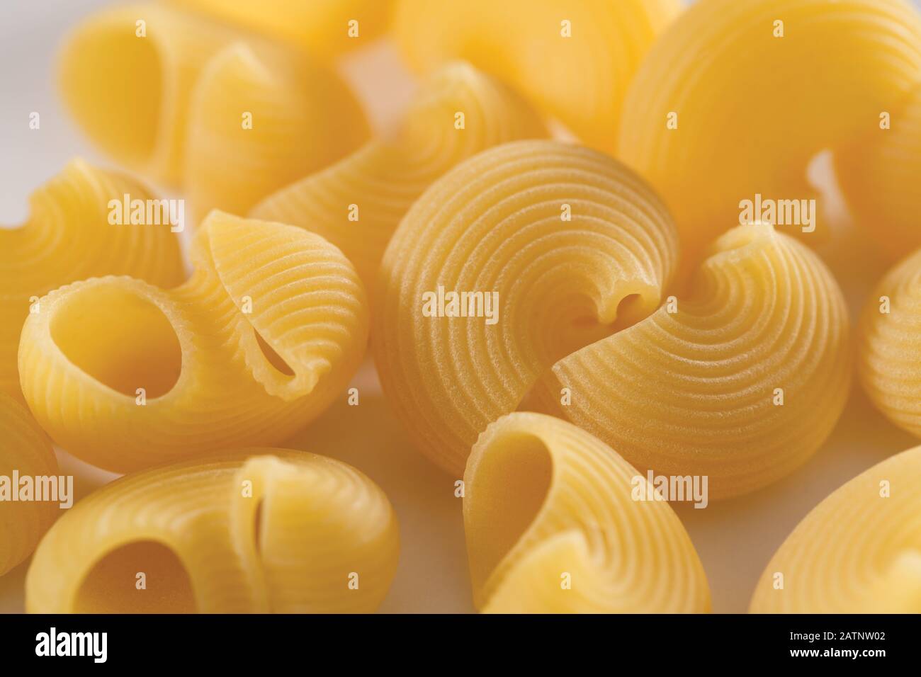 Pasta lumache rigate hi-res stock photography and images - Alamy