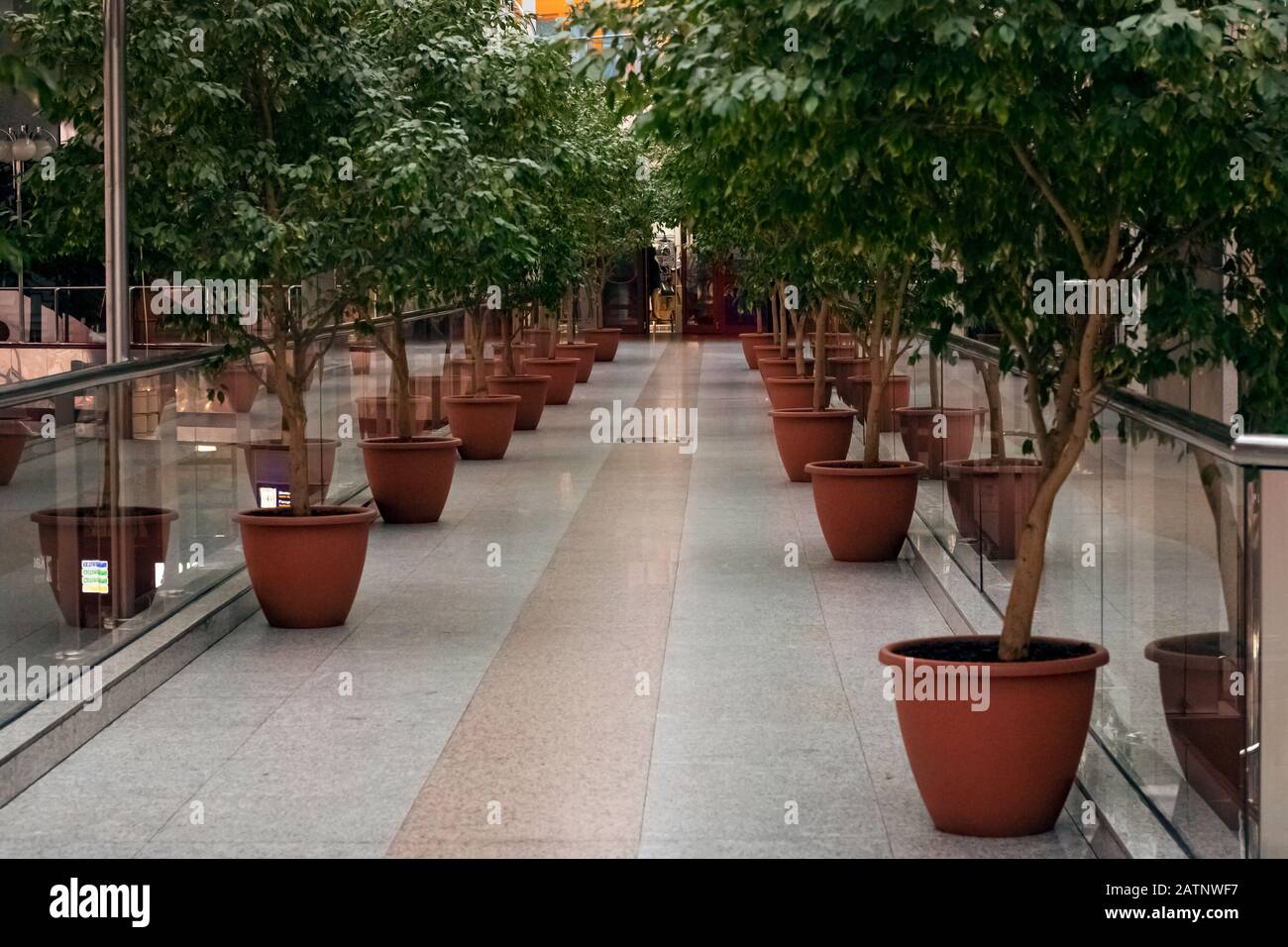 Long corridor and large plants along indoors close up Stock Photo - Alamy