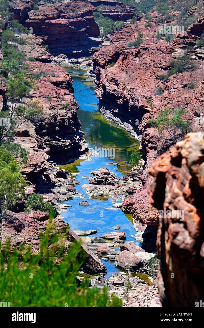 Australia, Kalbarri National Park, murchison river Stock Photo - Alamy