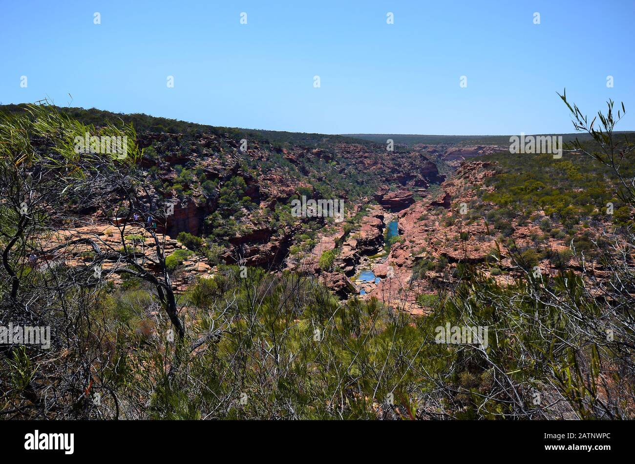 Australia, Kalbarri National Park, Murchison river from Z-Bend lookout ...