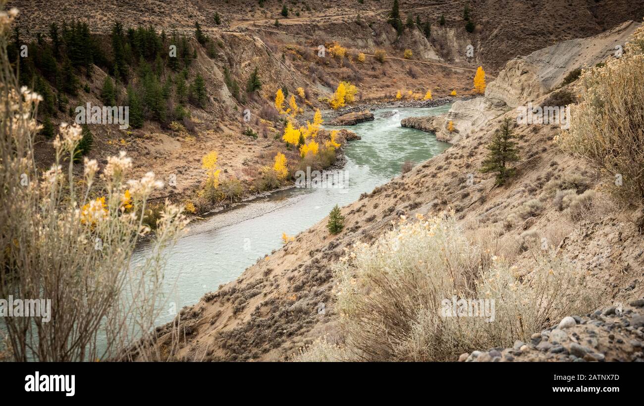 The Chilcotin River flowing through the beautiful BC grasslands habitat ...