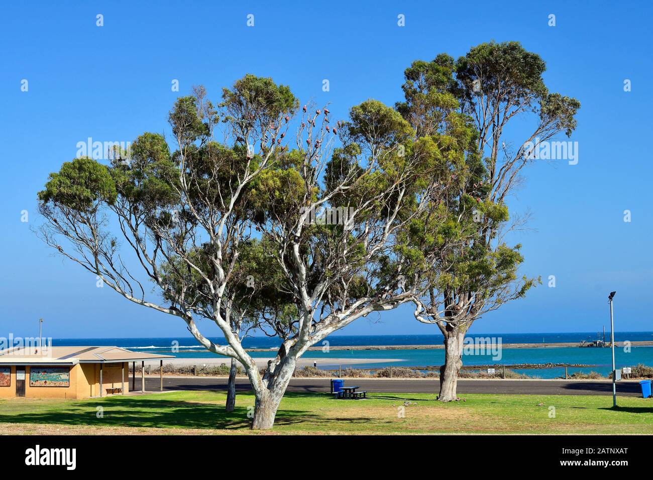 Australia, Kalbarri, beach at Murchison river on estuary into Indian ...