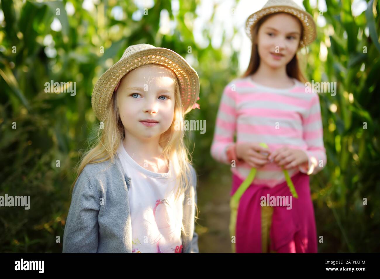 Two cute young girls having fun in a corn maze field during autumn ...
