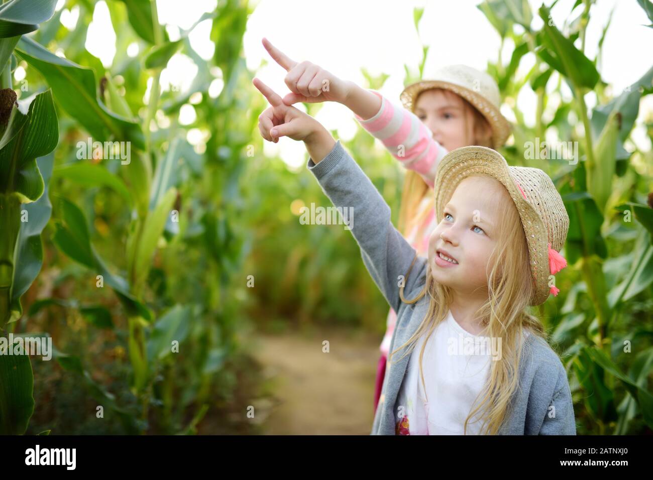 Two cute young girls having fun in a corn maze field during autumn ...