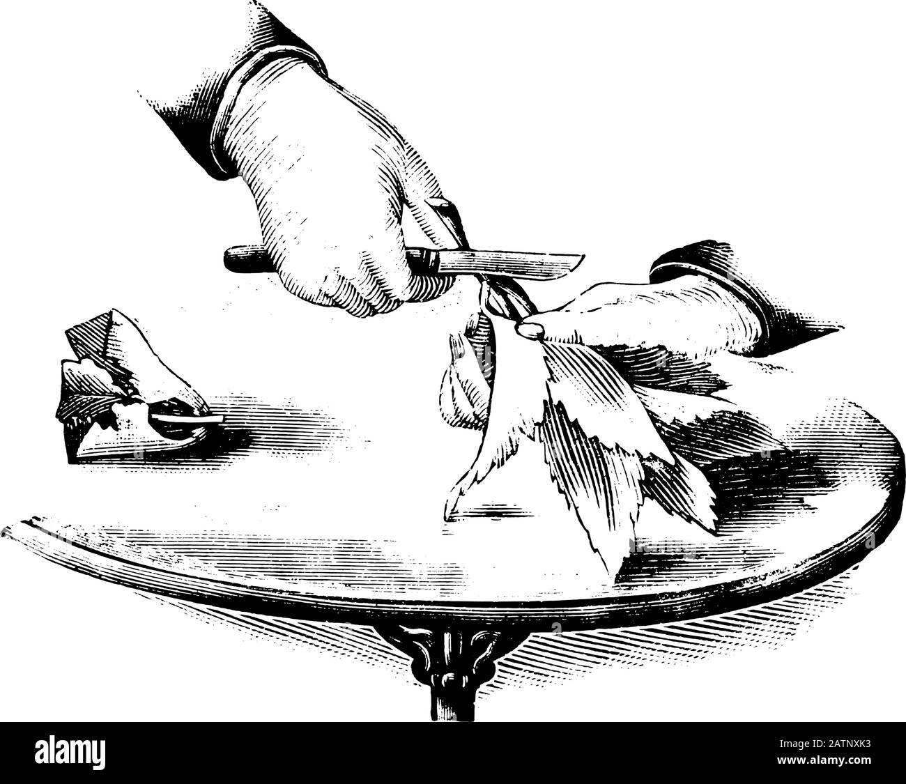 Flower growing from garden Stock Vector Images - Alamy