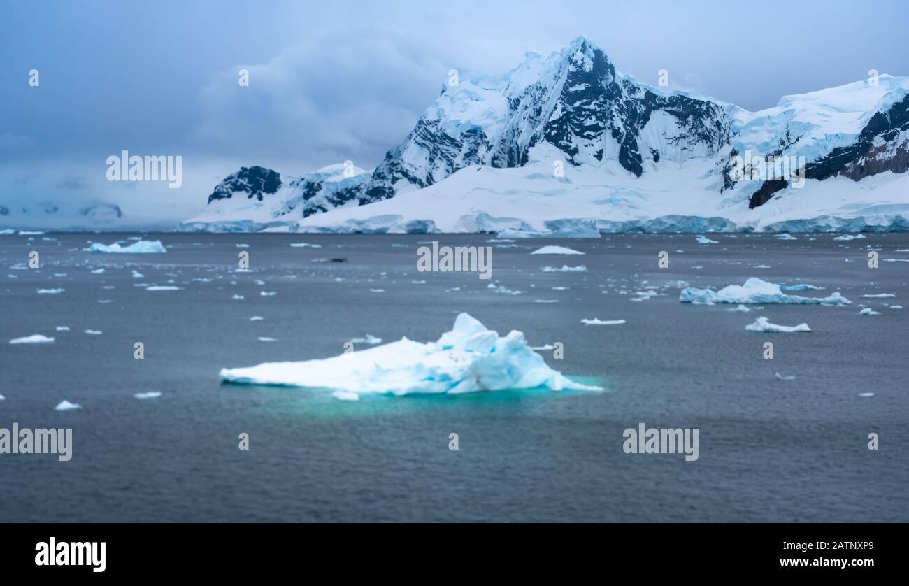Paradise Harbor, also known as Paradise Bay, behind Lemaire and Bryde ...