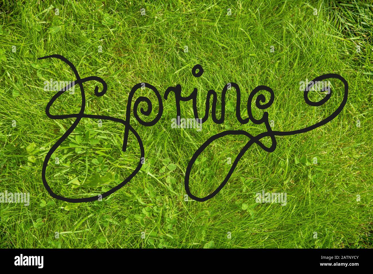 English Calligraphy Spring. Green Grass Lawn Or Meadow. Top View Stock ...