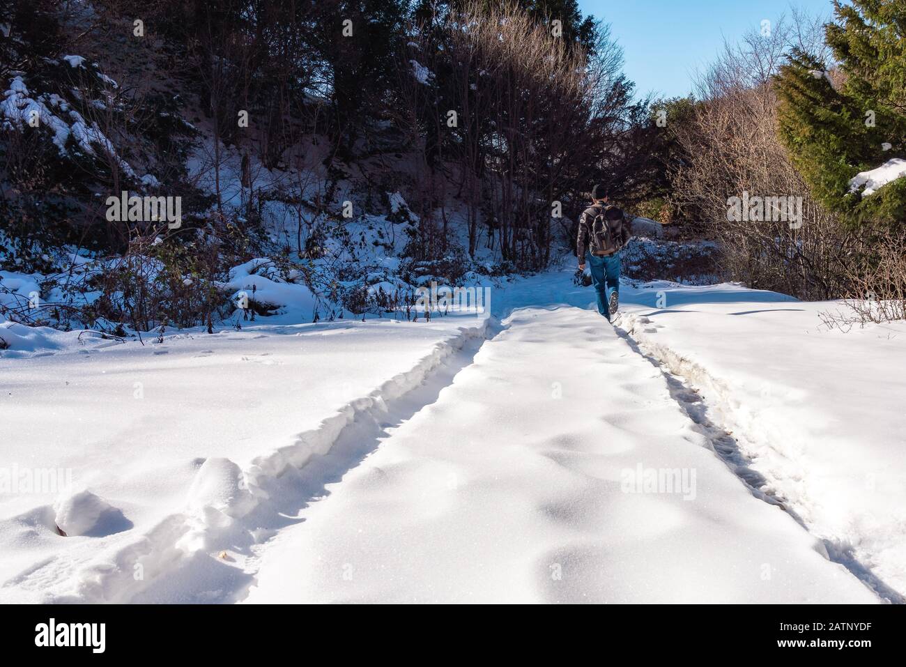 Backpack road trip hi-res stock photography and images - Alamy