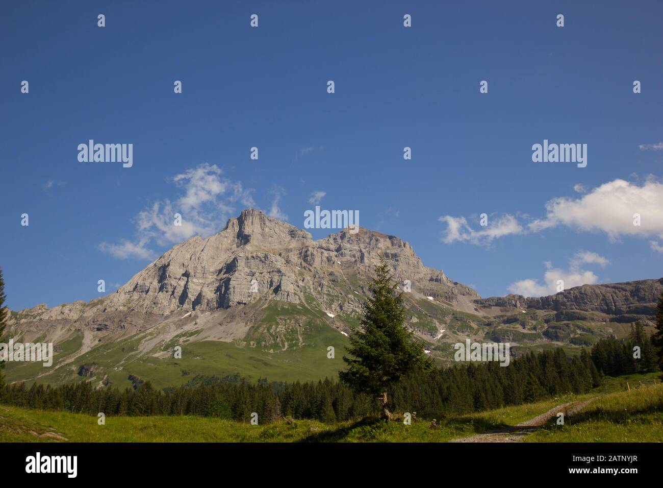 Rotstock hi-res stock photography and images - Alamy