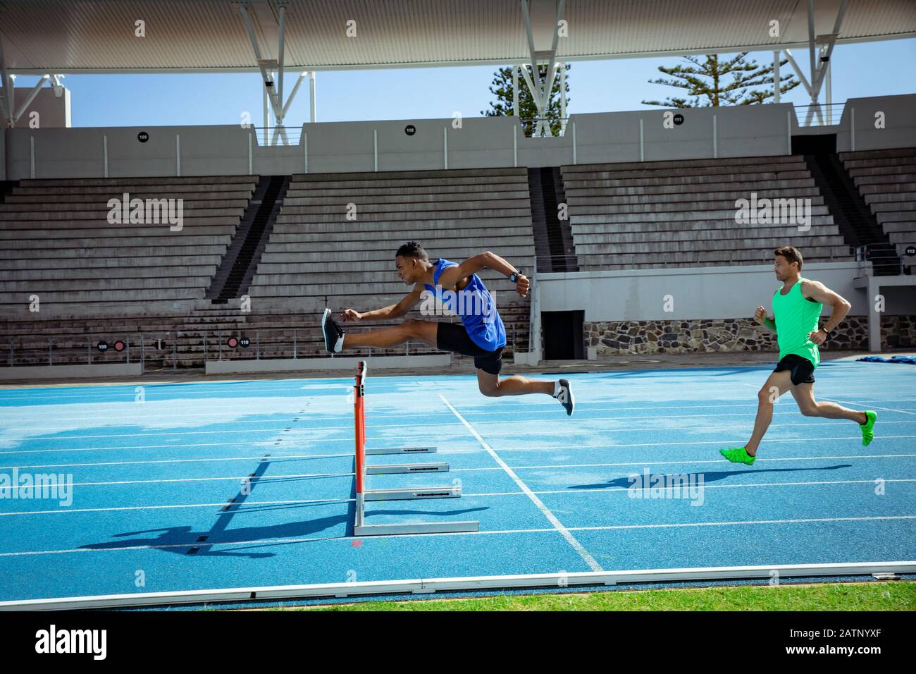 Jumping a hedge hi-res stock photography and images - Alamy